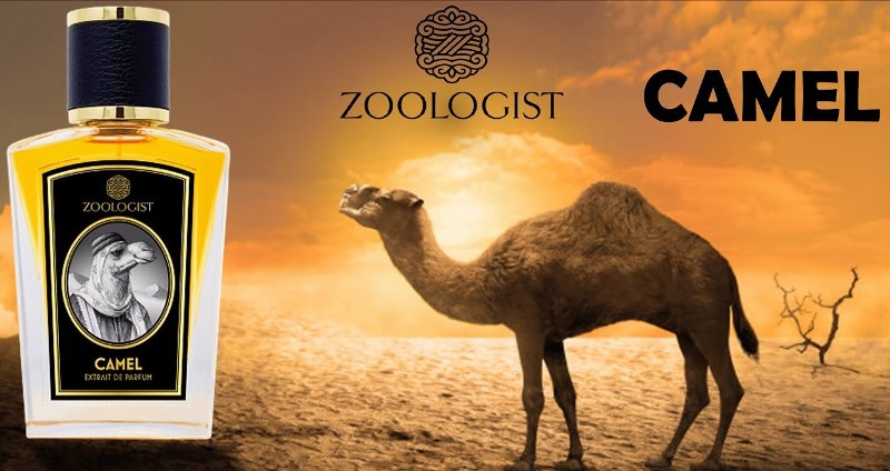 Zoologist Camel - купить оригинальный парфюм в Москве, СПб по всей ...